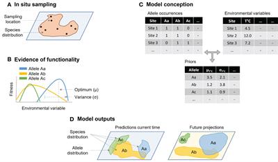 Frontiers | Towards a unified eco-evolutionary framework for fisheries management: Coupling ...